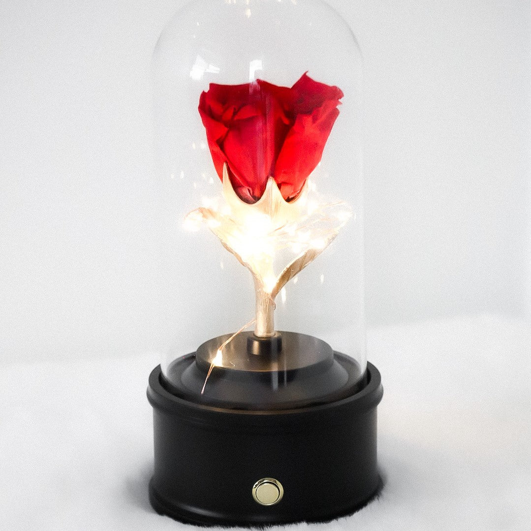 [Music Rose Box] black base + red rose + bluetooth speaker, wireless ...